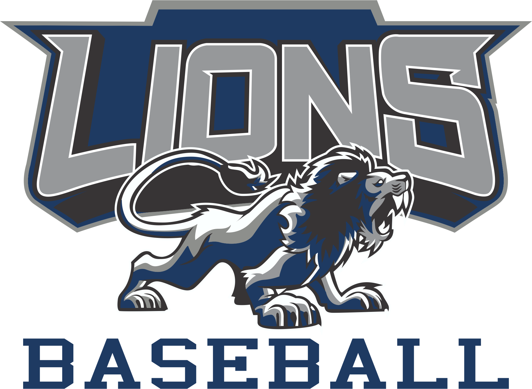 Lions Baseball Spirit Wear – tagged "lions" – Teamworks Promotions